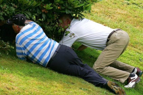 Golf Ball Finders: How They Work | Golf ball finder